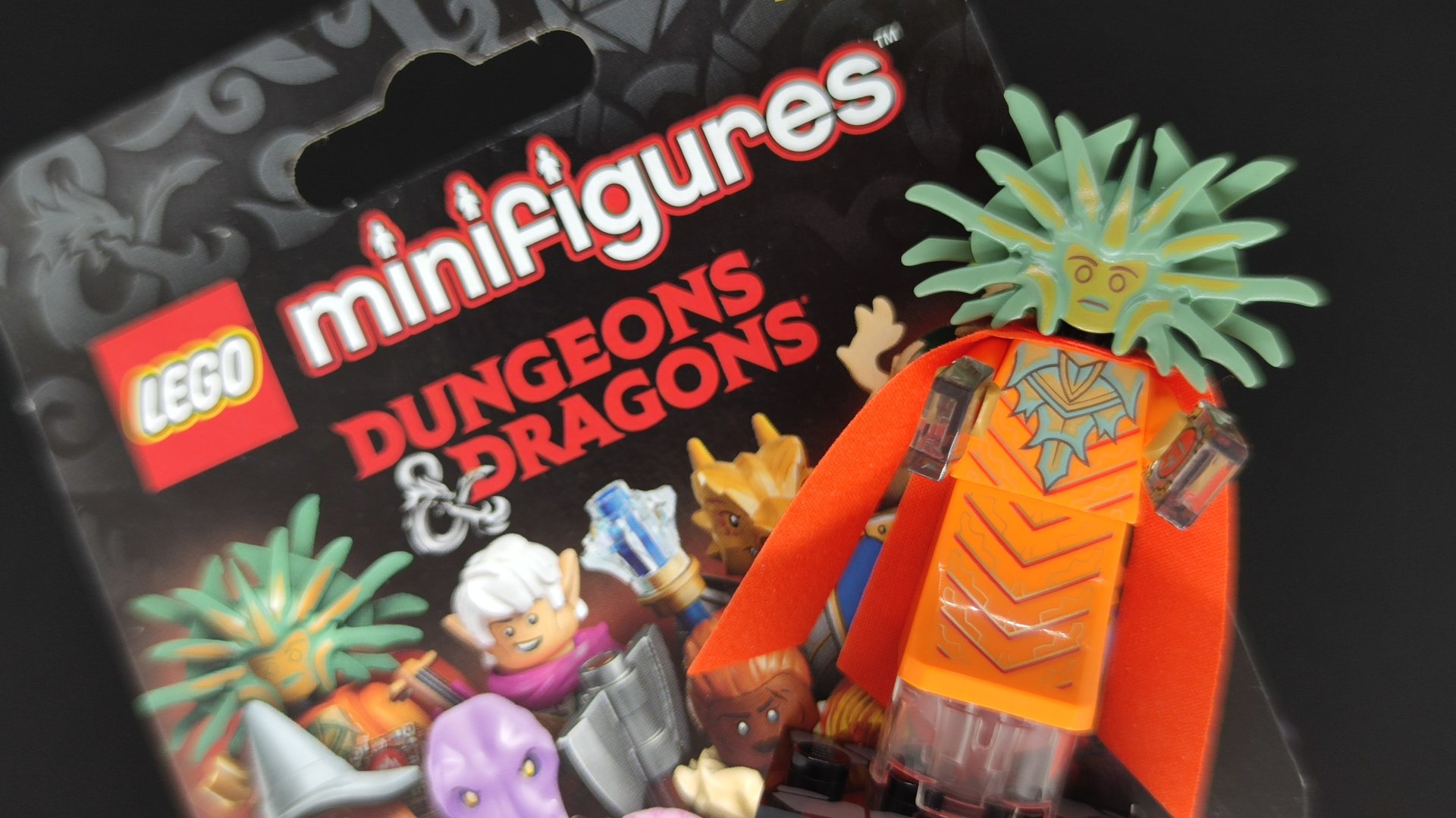 LEGO "Леди боли" серия "Подземелья и драконы