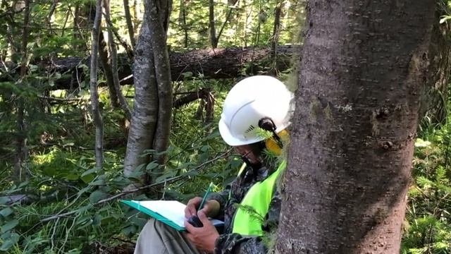 Инженерные изыскания. СЕРВИСТА