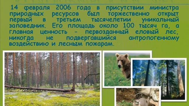 Видеоэкскурс "Экологический репортаж". Библиотека №19