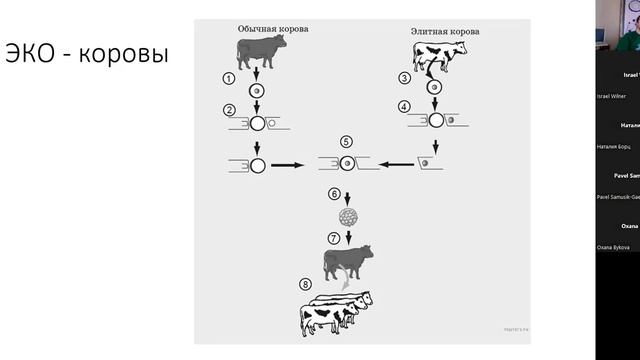 К празднику Ту би-Шват: лекция «Биотехнология в Израиле»,  Тимур Чернов