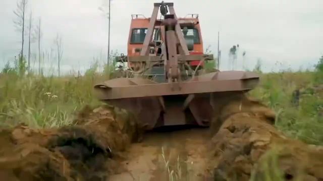 Компенсационное лесовосстановление