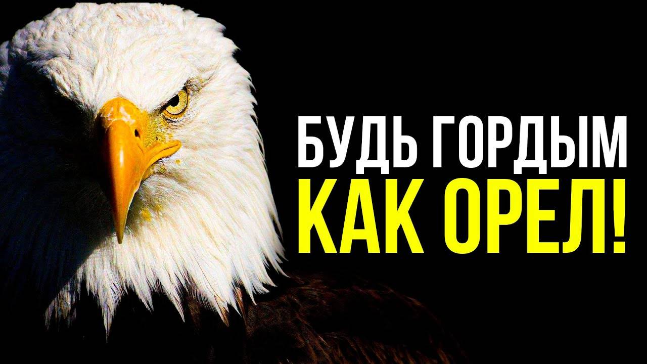 Я ГОРДЫЙ ОРЕЛ!  - Мотивационное видео.
