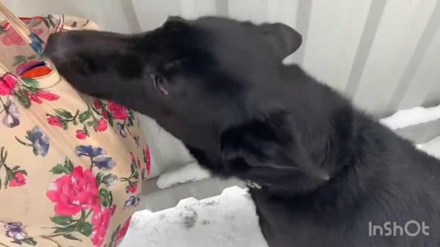 Подарок в делеАптека, магазин, Озон☀️Первые всходы