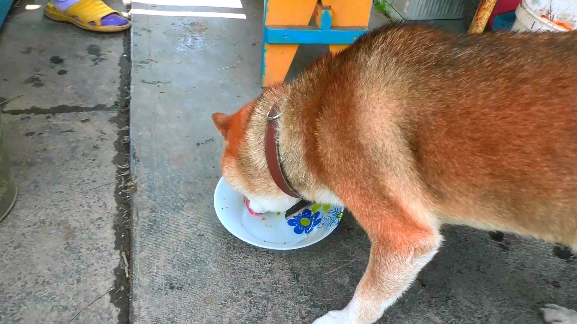 Как помыть посуду на даче