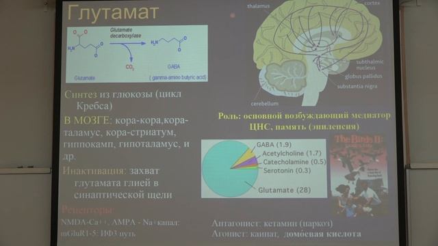 7. Управление вегетативными рефлексами. Физиология человека и животных - Ловать М. Л. Teach-in.