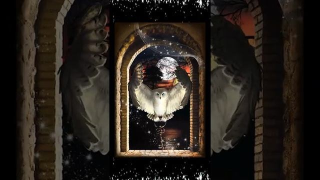 Ленорман | Живые легенды Ленорман | Колода Олеси Веселовой #shorts