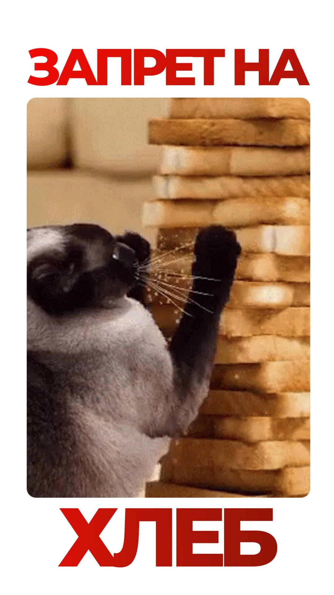 Как запретили хлеб в нарезке