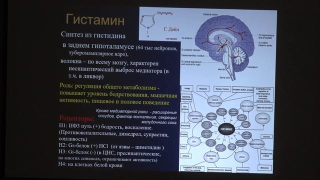 9. Медиаторы мозга. Физиология человека и животных - Ловать М. Л. Teach-in.