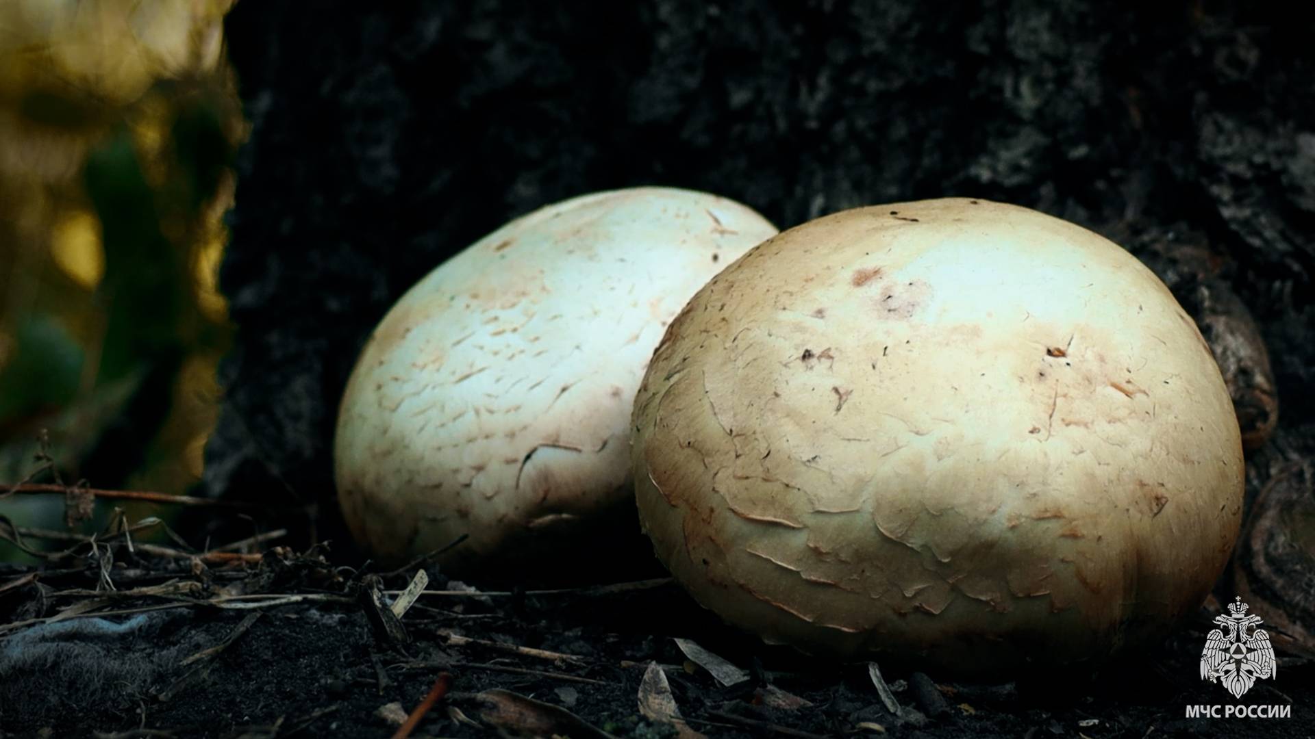 ГЛАВНОЕ УПРАВЛЕНИЕ МЧС РОССИИ ПО ЛУГАНСКОЙ НАРОДНОЙ РЕСПУБЛИКЕ ПРИЗЫВАЕТ: