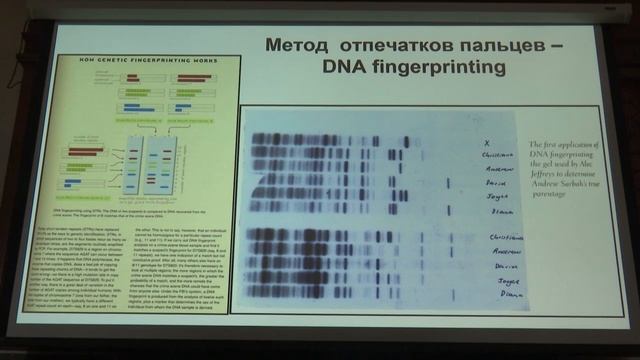 4. Клеточная биология - Онищенко Г. Е. Teach-in.