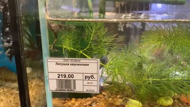 06.04/ Релакс/ Трасса/