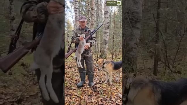 Об охоте на молодого зайца. +18