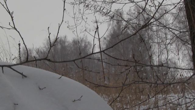 Времена года. Декабрь