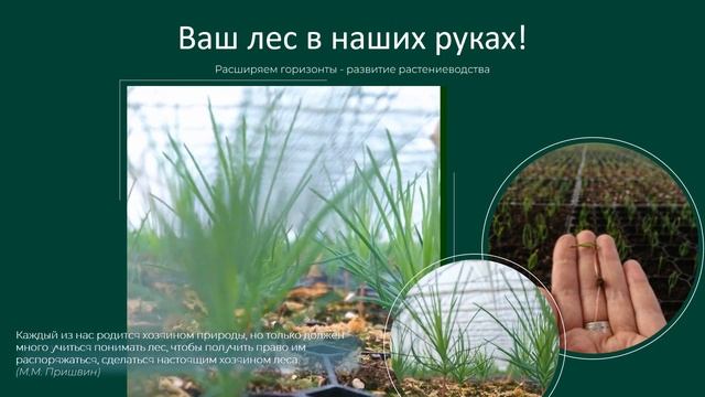 СЕРВИСТА  Растениеводство