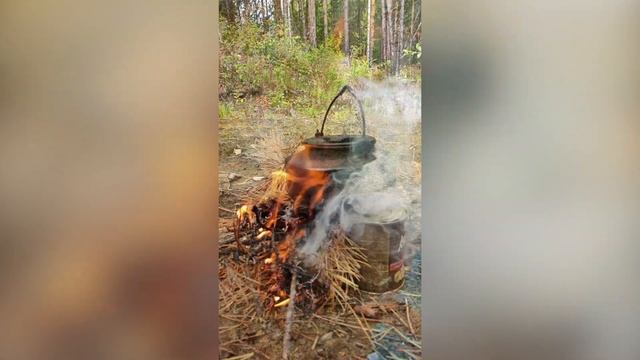 Лесоустройство. Рабочие моменты