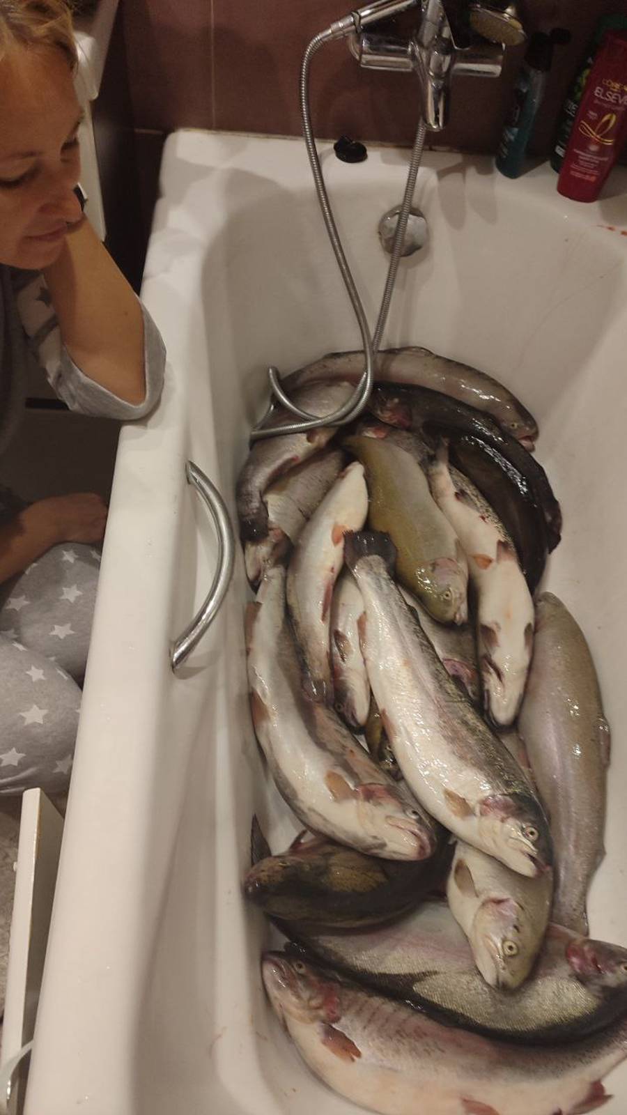 Дрессированная форель