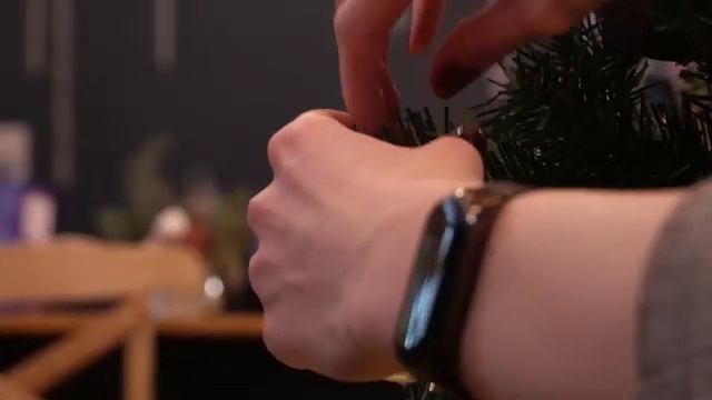 Нарядили ёлку в ЦДР на Соколе