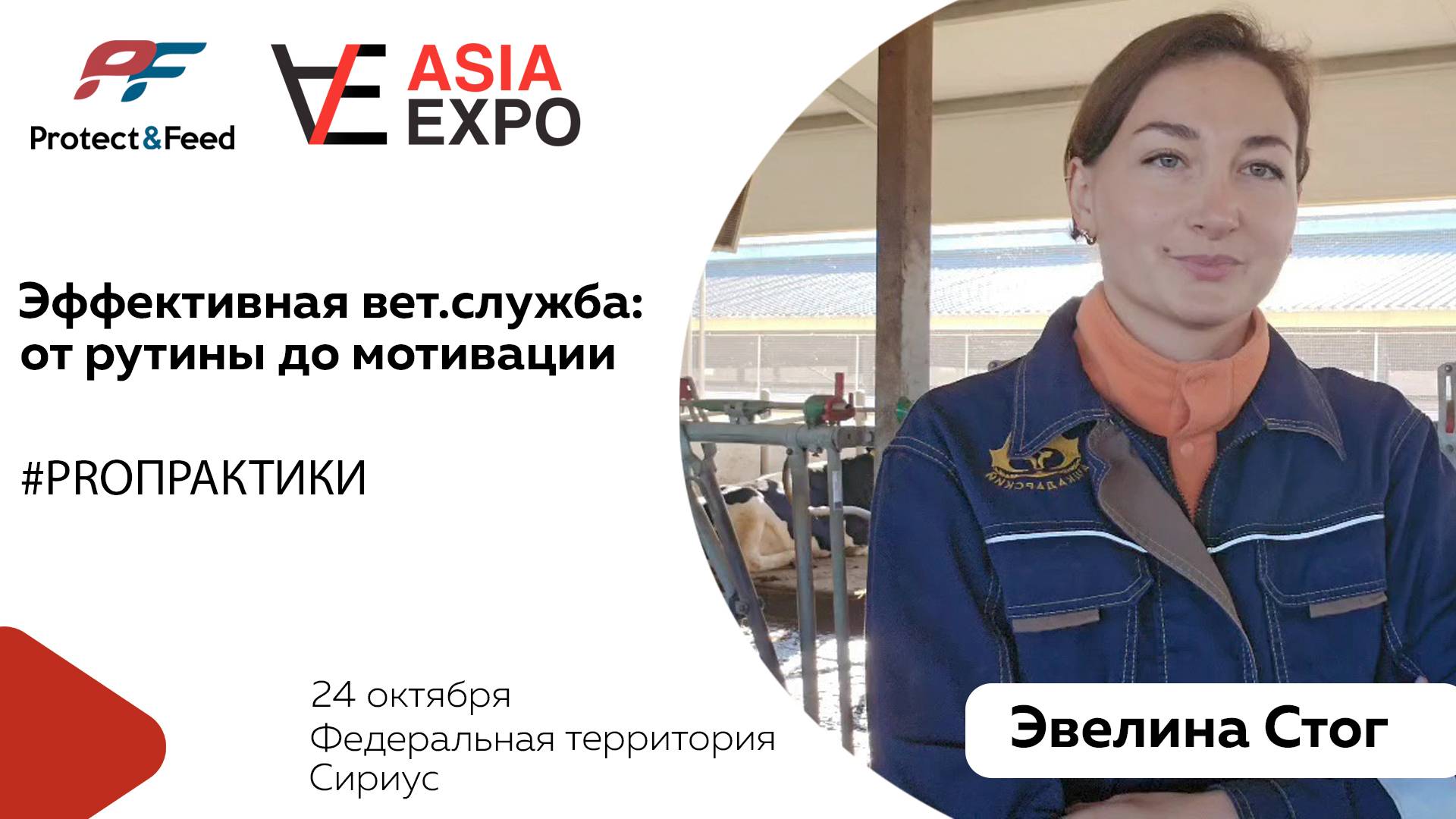 🛡 "Эффективная ветеринарная служба: от рутины до мотивации"