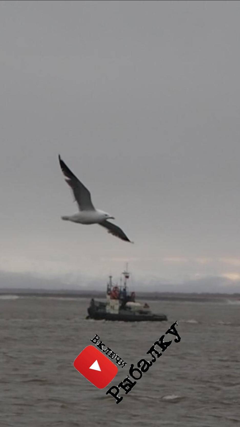 безумству храбрых