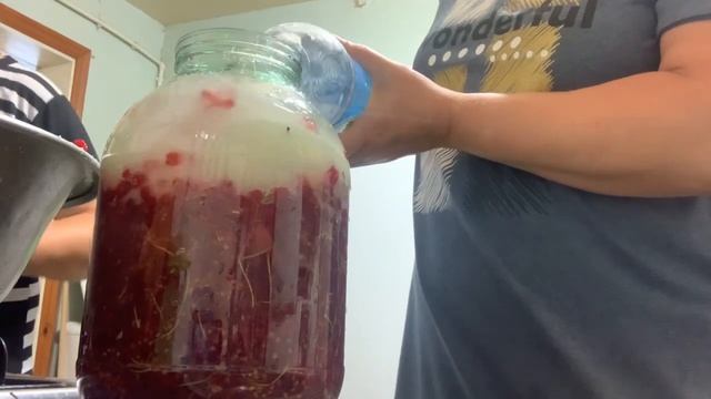 Наливка из красной смородины/ Настойка/