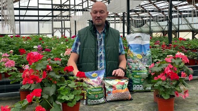 Как правильно посадить растения на балконе