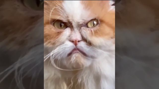 хочу на отдыхᨐᵉᵒʷ
