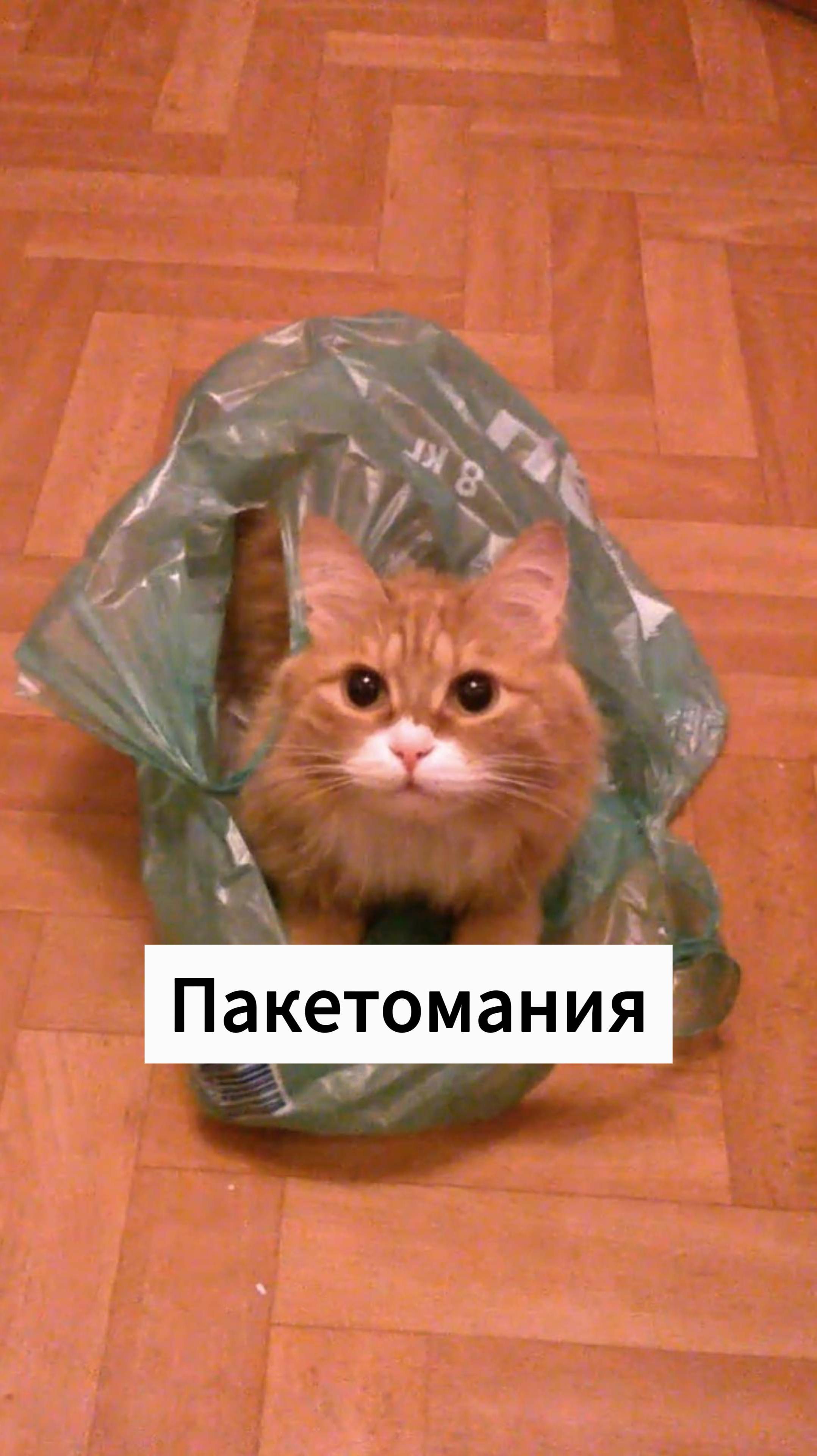 Пакетомания 😅👍