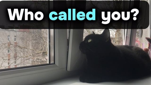 Вопросы к подлежащему (Subject questions).