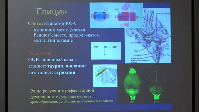 8. Возбудимые клетки. Медиаторы мозга. Физиология человека и животных - Ловать М. Л. Teach-in.