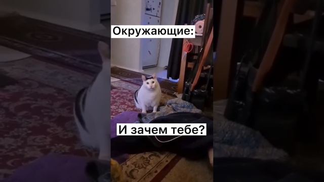 Психолог и мои родственники ))) #юмор
