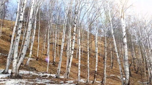 Ледовый переход Встреча с Байкалом 2018