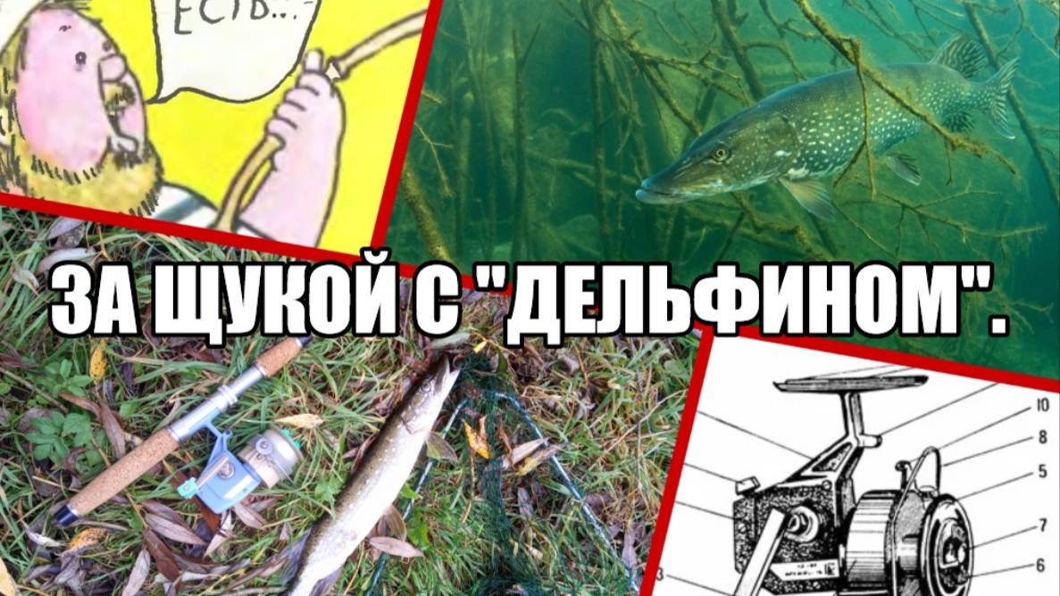 За щукой с "Дельфином"!