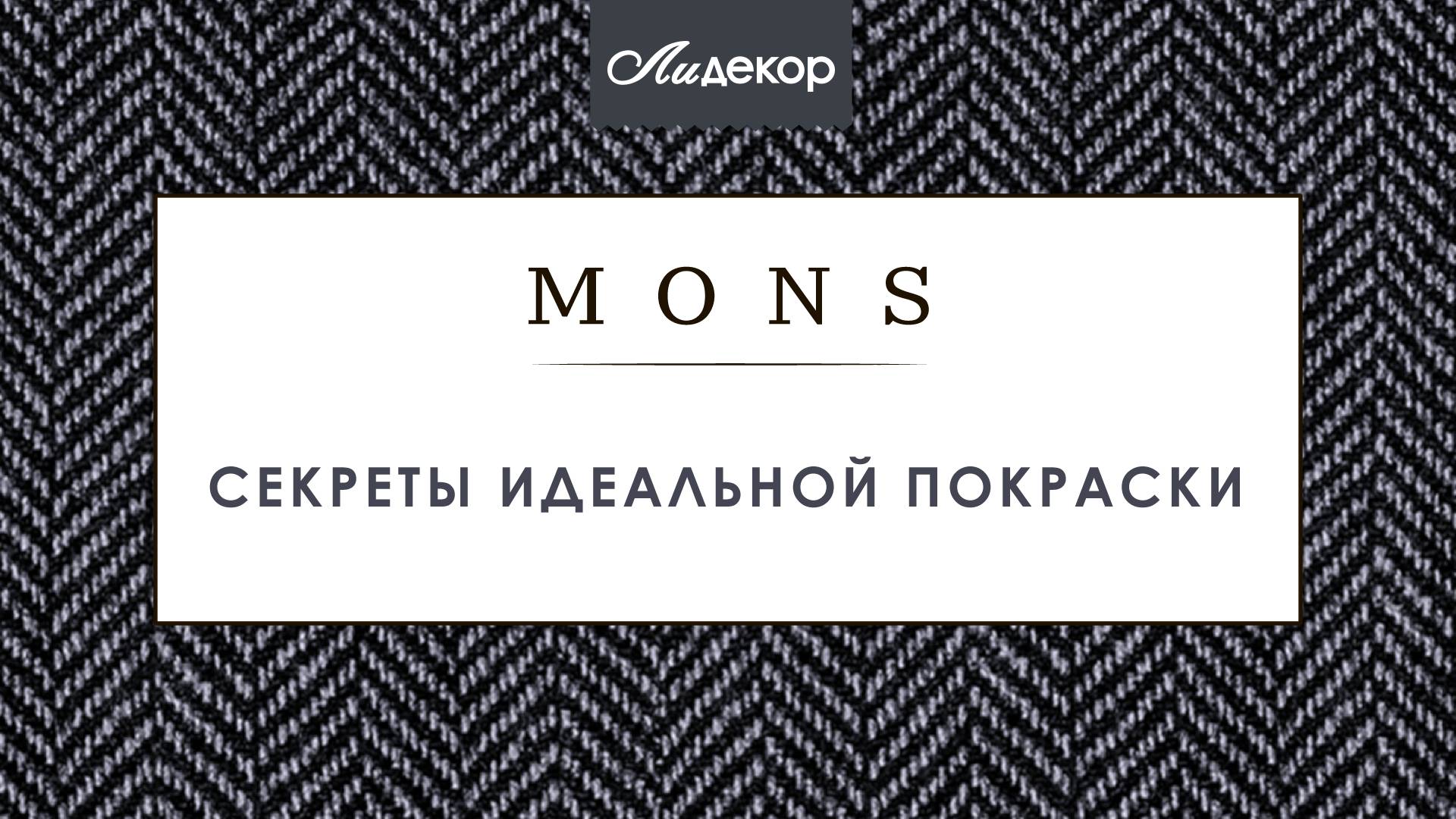 Краска Mons – Секреты идеальной покраски