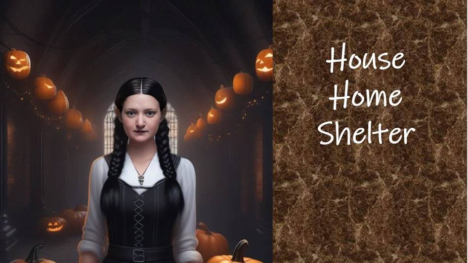 House vs Home vs  Shelter  ( Outside of the box )