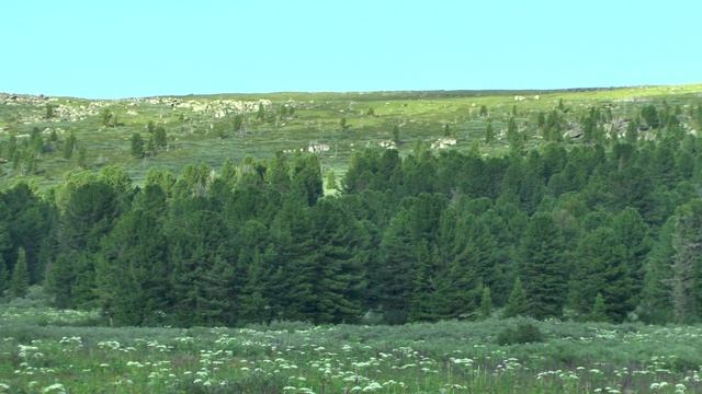 Часть 1.  Путешествие по Горному Алтаю.  Ашпагачские озера -  Каракокшинские пещеры, июль 2024г.