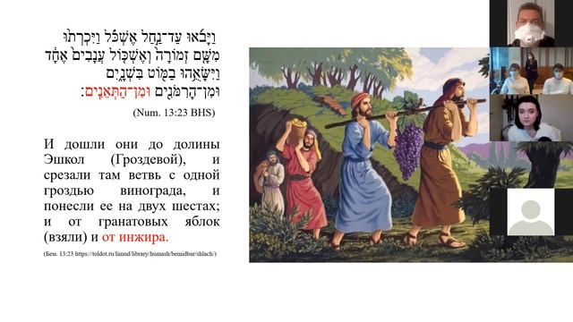 «Фиговое дерево в еврейской традиции», студент-раввин Абрахам Гайгер колледжа Александр Ковтун