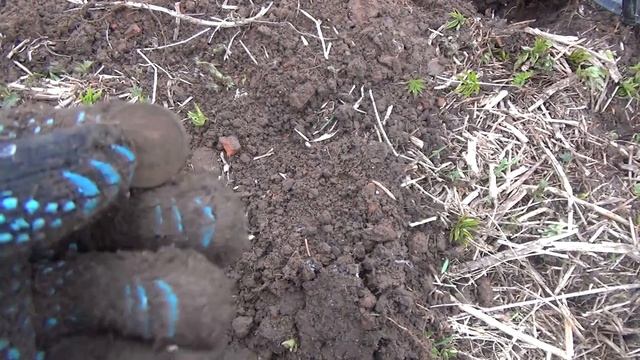 Когда времени мало, а желания копать - много. Коп-разведка до полной темноты.