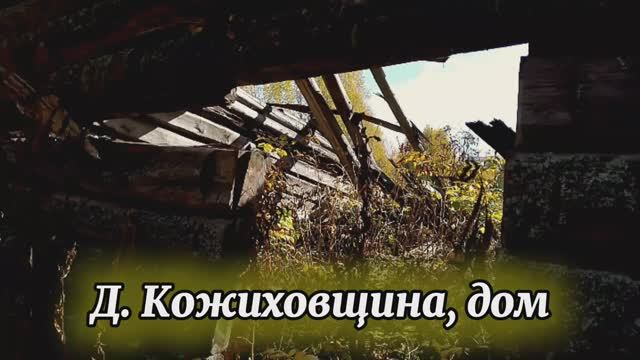 Деревня Кожиховщина, дом в октябре.mp4