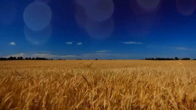 Медитация Возвращение к истокам часть 4