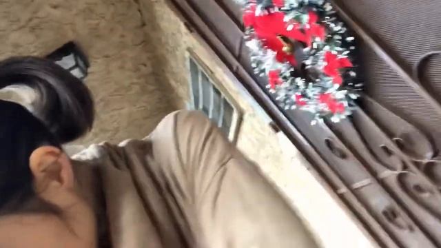 США Vlog December