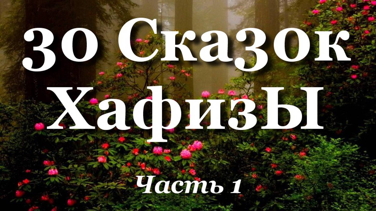 30 Ска30к ХафизЫ. Часть 1.