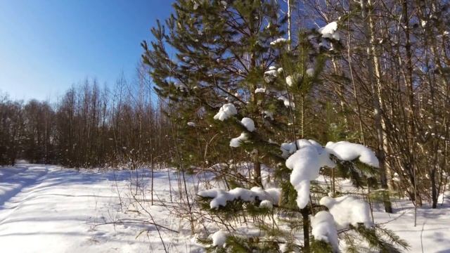 Времена года. Февраль (End Version)