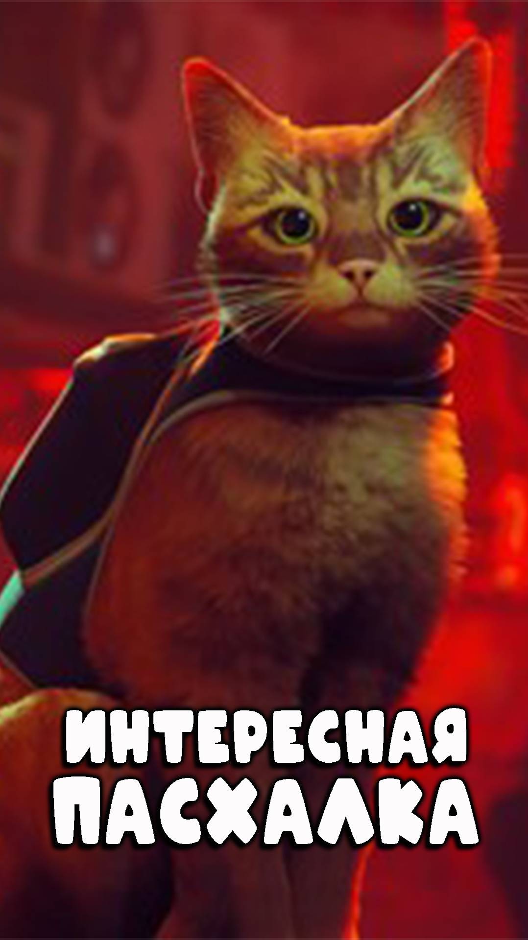 ДОК и МАРТИ попали в мир РОБОТОВ