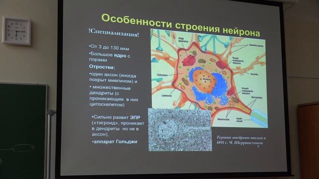 1. Введение в физиологию. Потенциал покоя. Физиология человека и животных - Ловать М. Л. Teach-in.