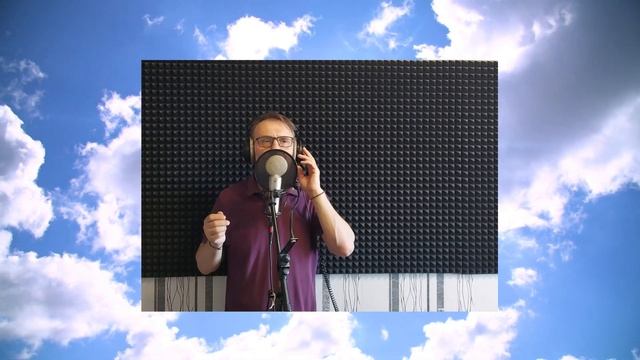 Журавли (Музыка Я. Френкель, слова Р. Гамзатов) Вадим Ибрянов