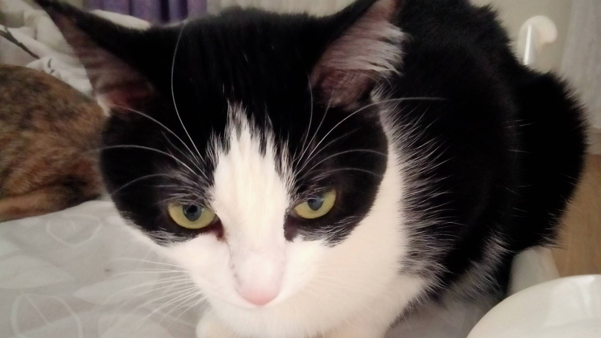 Закончил домик