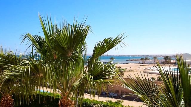 ALBATROS PALACE RESORT - честный обзор номера