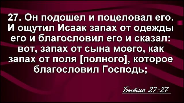 НЕ торопитесь РАЗВОДИТЬСЯ __ Борис Протасевич __ Семейные отношения _ Христианские проповеди АСД