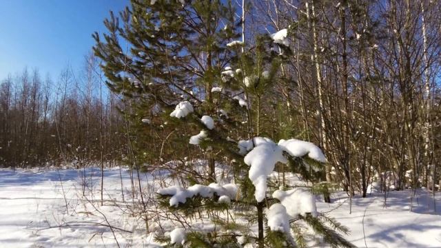 Времена года. Февраль (Start Version)