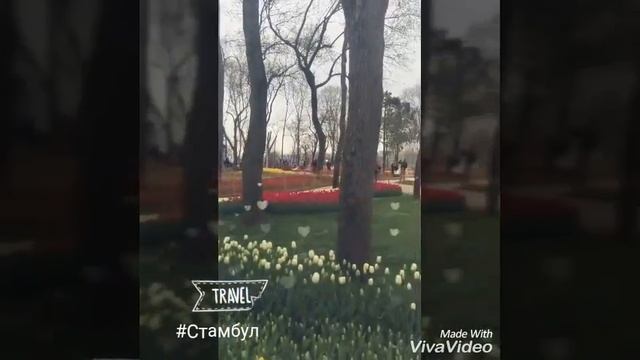 Маленькая Заинька в Стамбуле. Фестиваль тюльпанов.